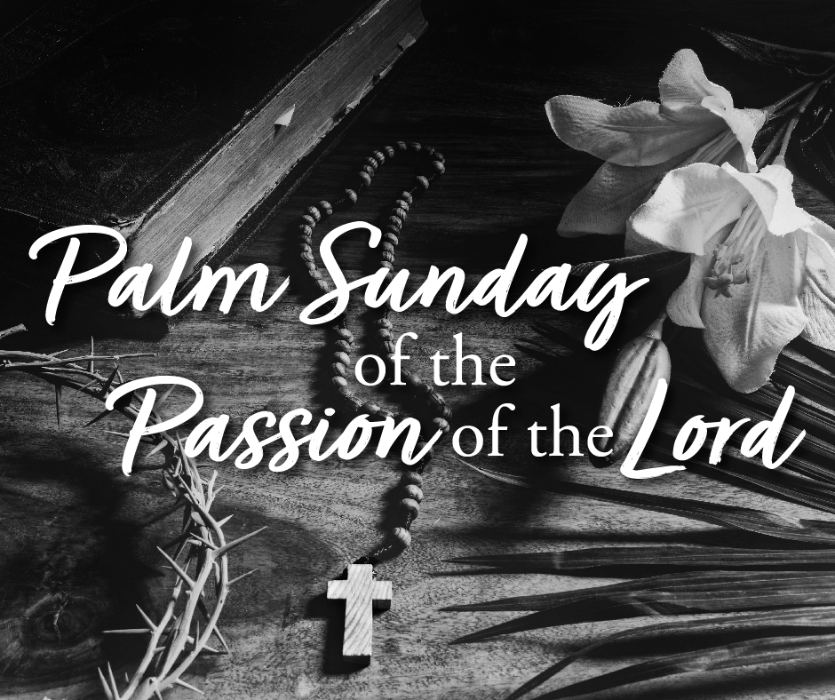 Diocese of Gaylord | palm sunday BW